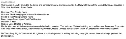 What is a Usage License? A Client's Guide to Licensing Commercial ...