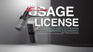 What is a Usage License? A Client's Guide to Licensing Commercial ...