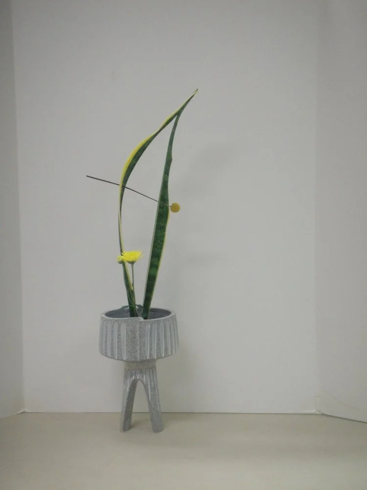 Galleries — Perth Sogetsu Ikebana