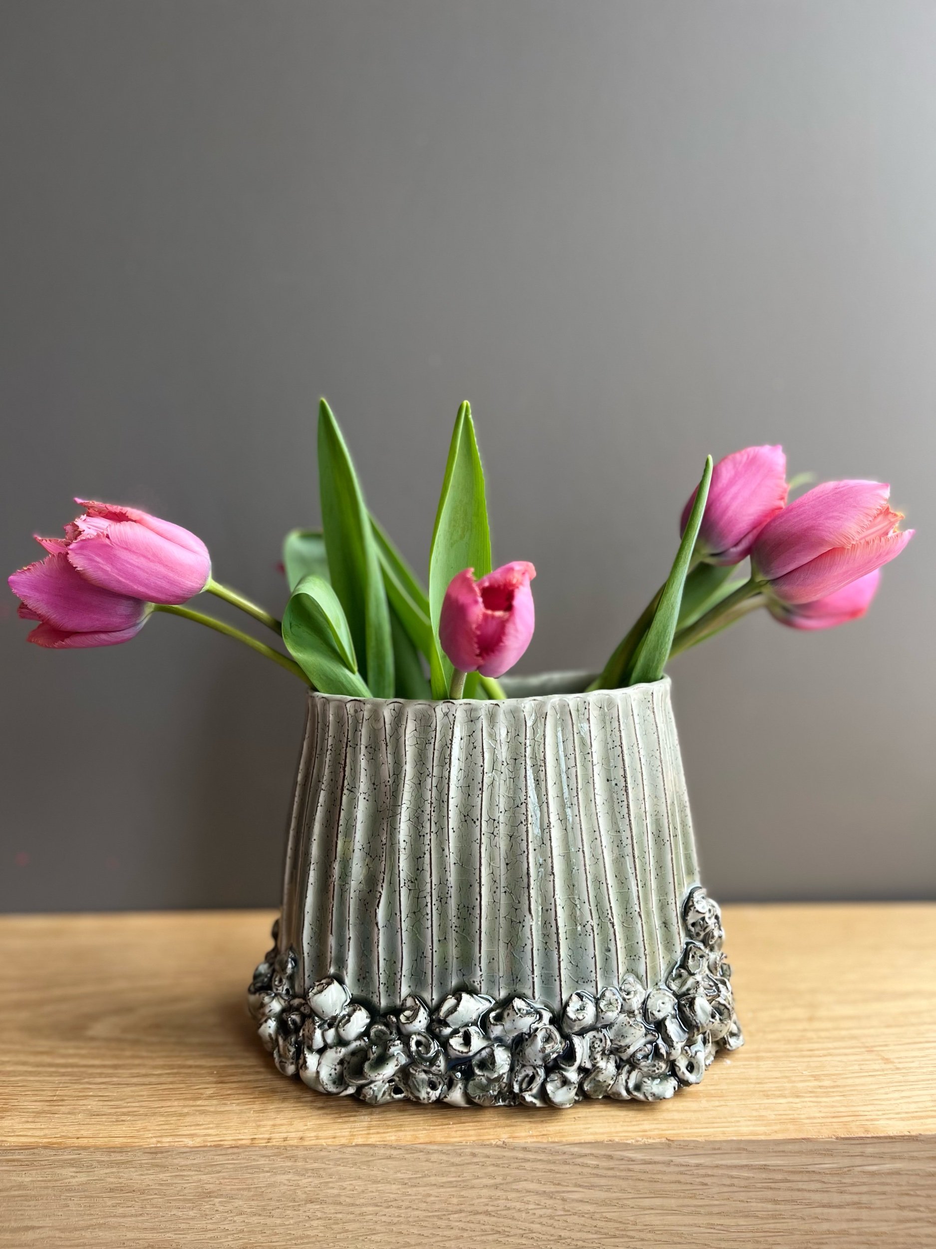 Shop — Sunshine Cobb