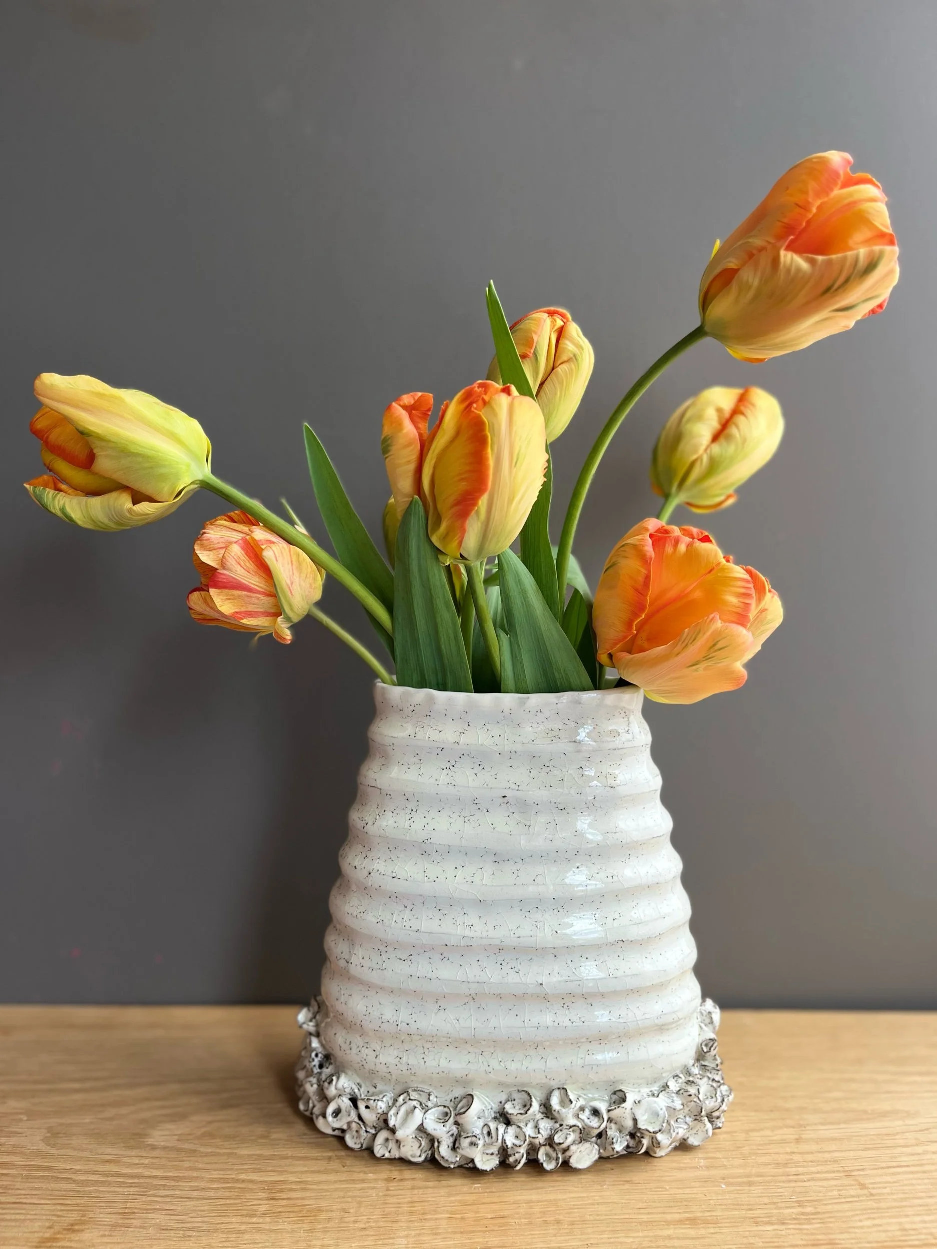 Shop — Sunshine Cobb