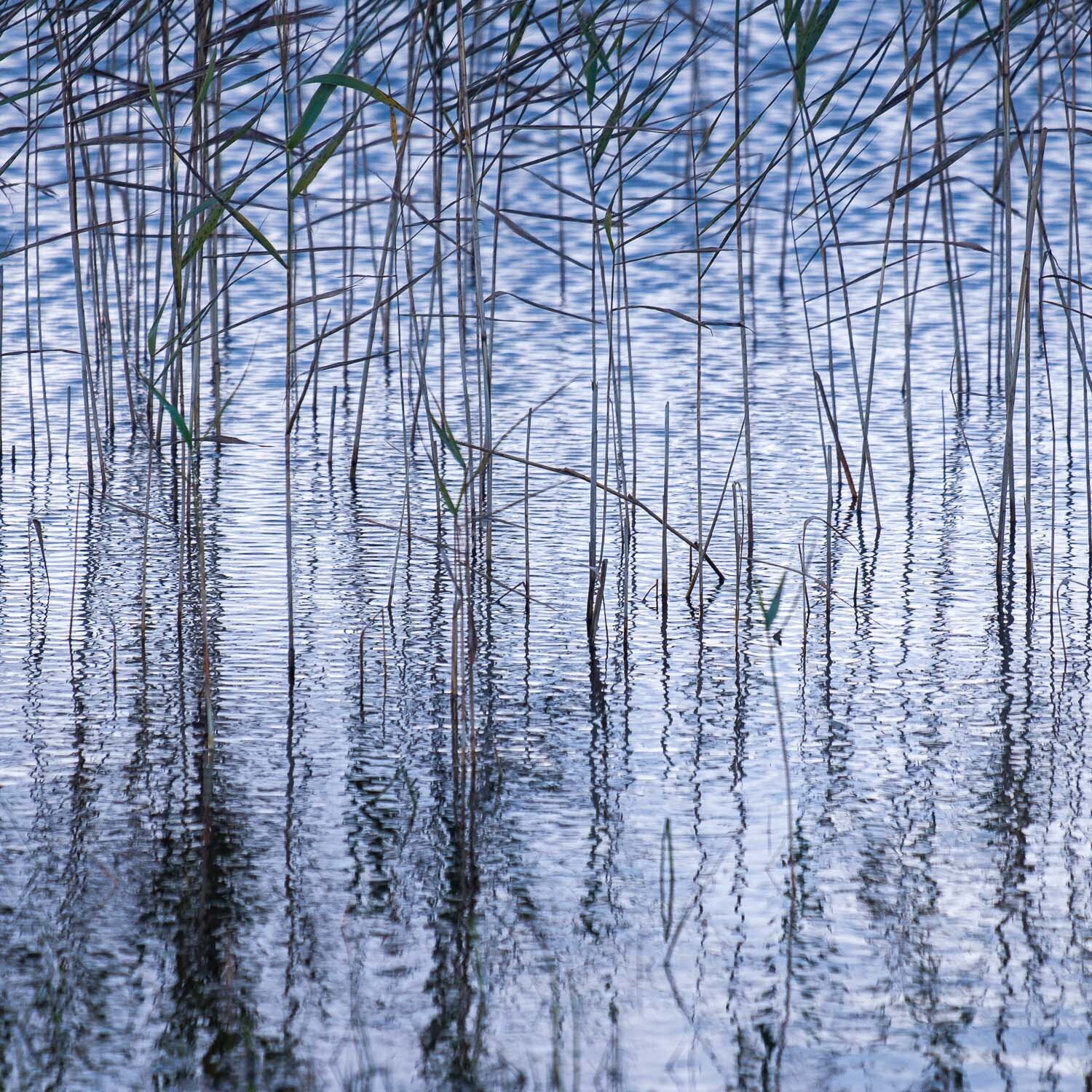 Christopher Swan Photography-Detail Photography Scotland by Christopher