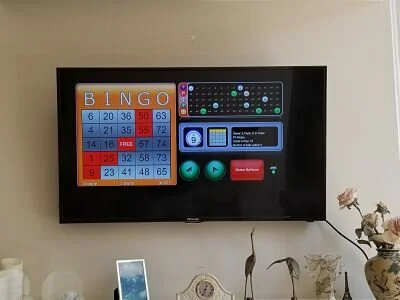 Remote Bingo — Electronic Bingo Systems