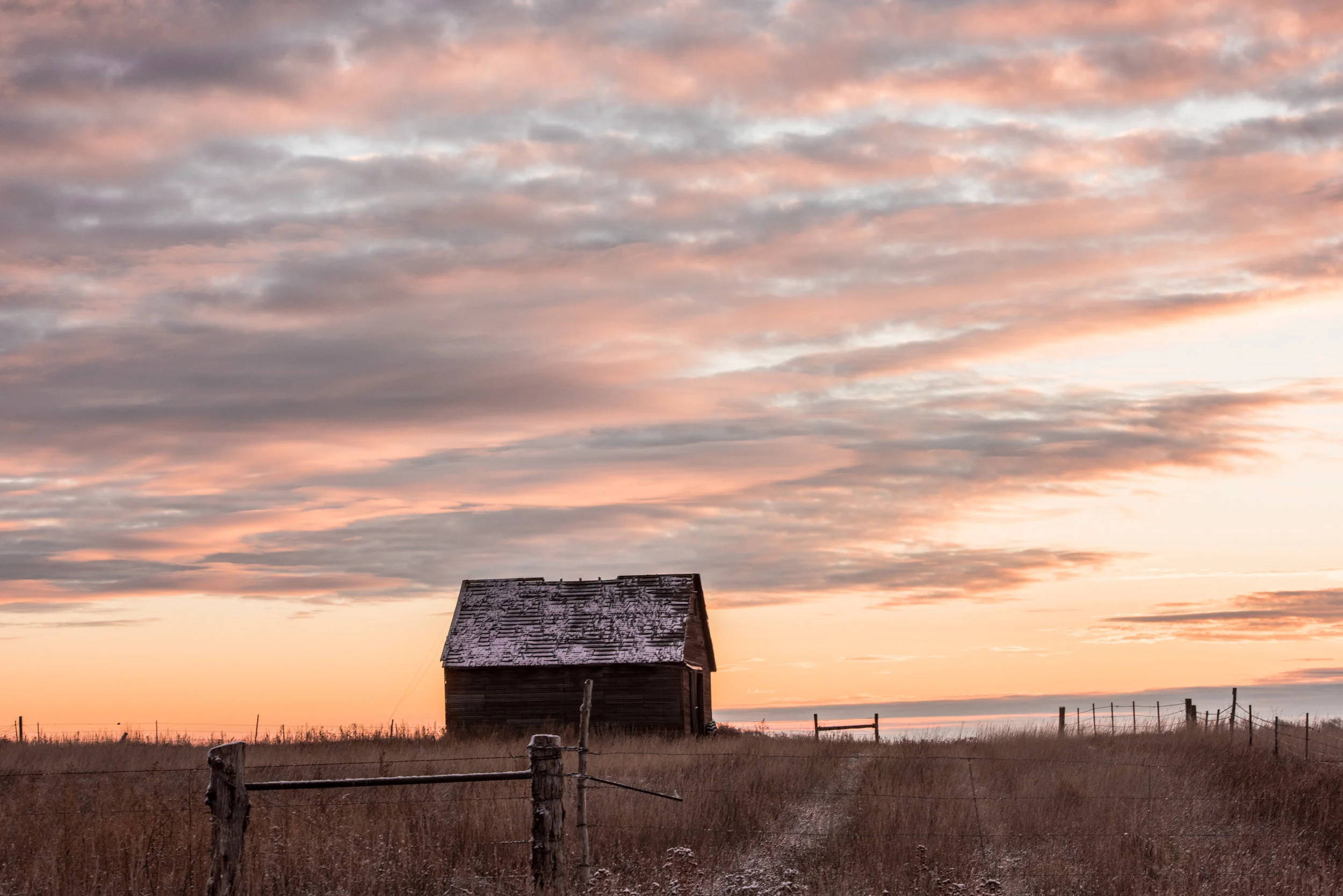 Women on the Rosebud Indian Reservation — TARA SHUPE PHOTOGRAPHY