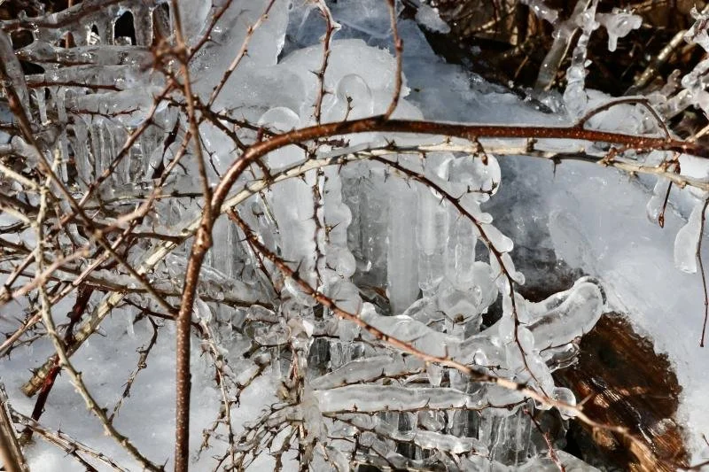 Blog — Robert Mitchell Photography