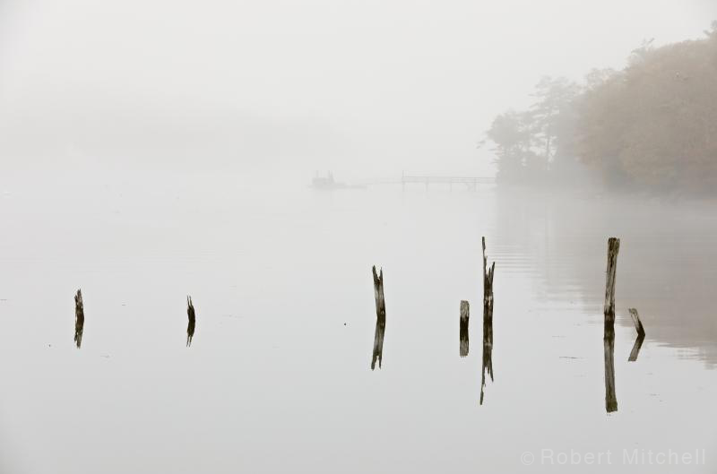 Fog — Robert Mitchell Photography