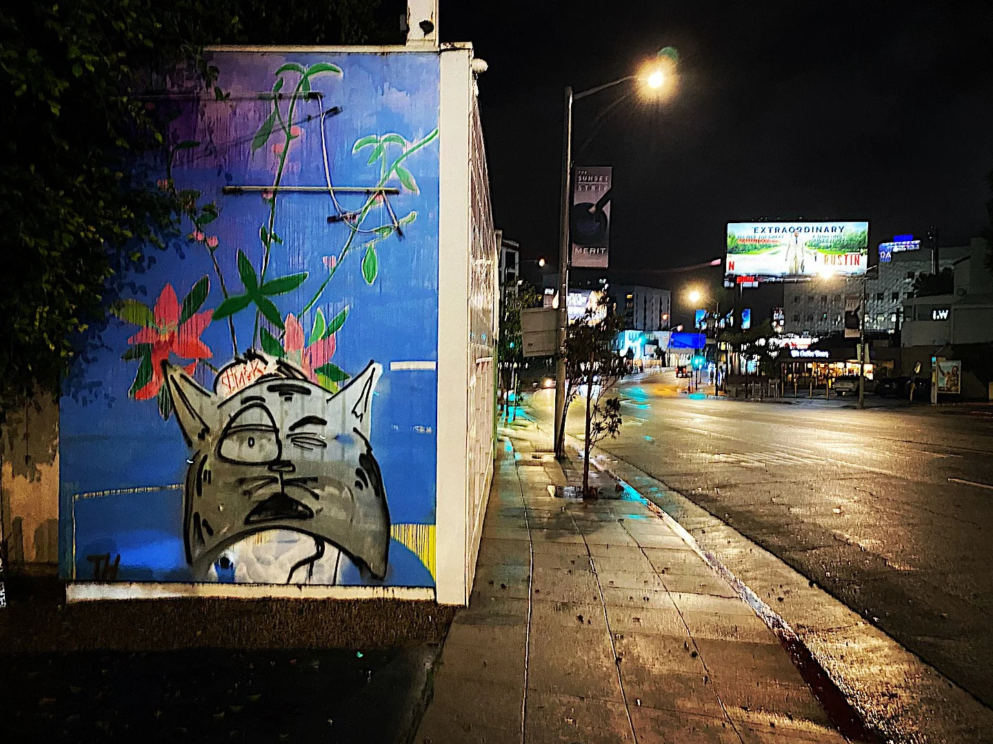 Sunset Boulevard at Night — SUSANNAH BRESLIN