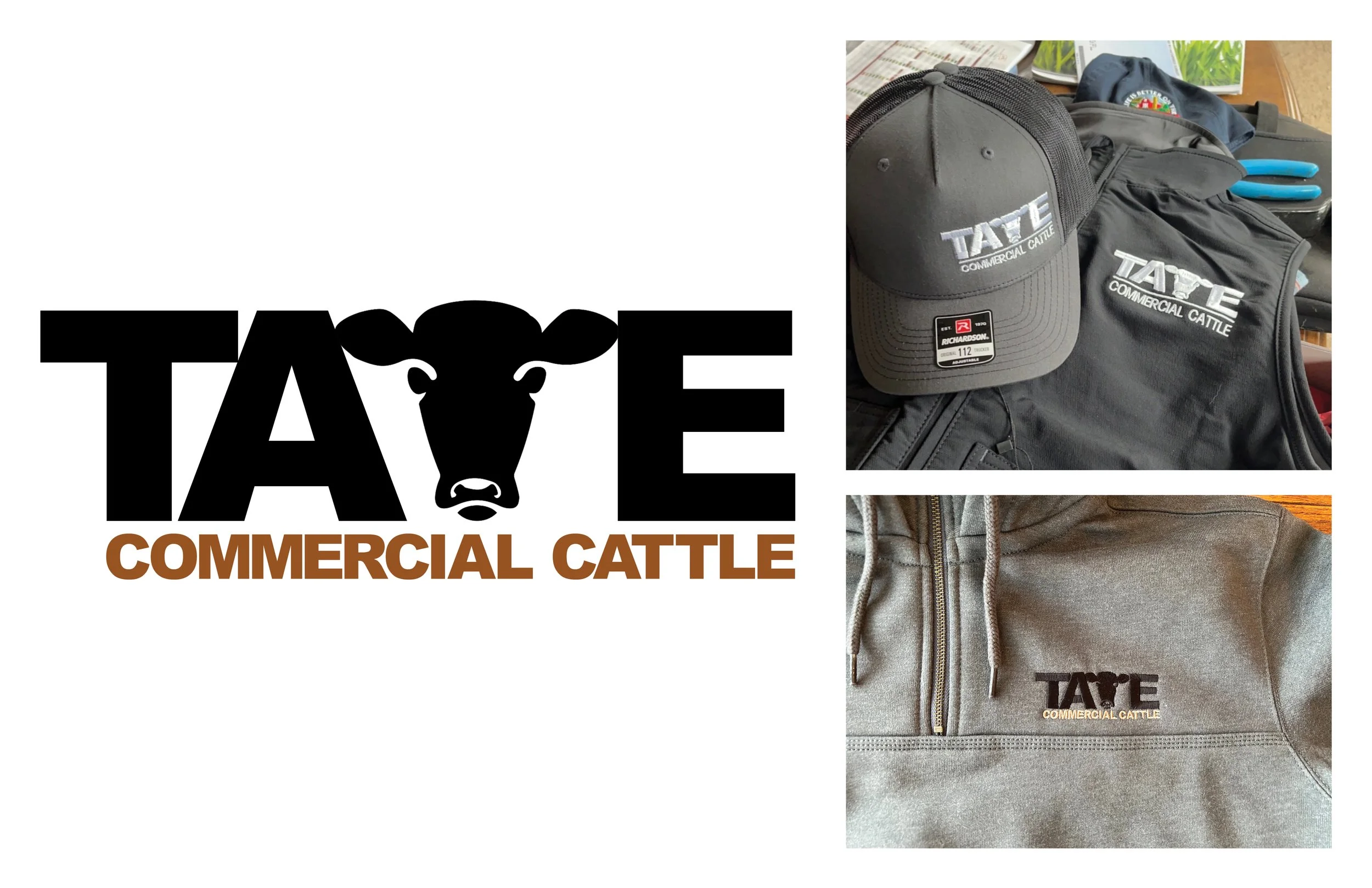 tate commercial cattle — Carl Koestner