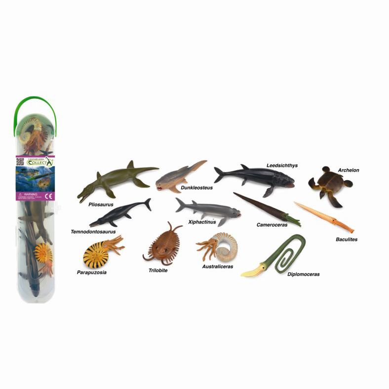 Prehistoric Marine Life