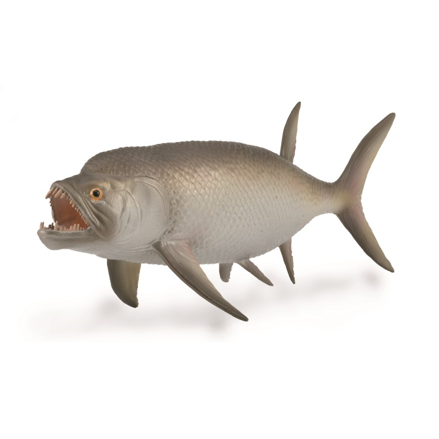 Xiphactinus 3d Model Xiphactinus Pictures AZ Animals