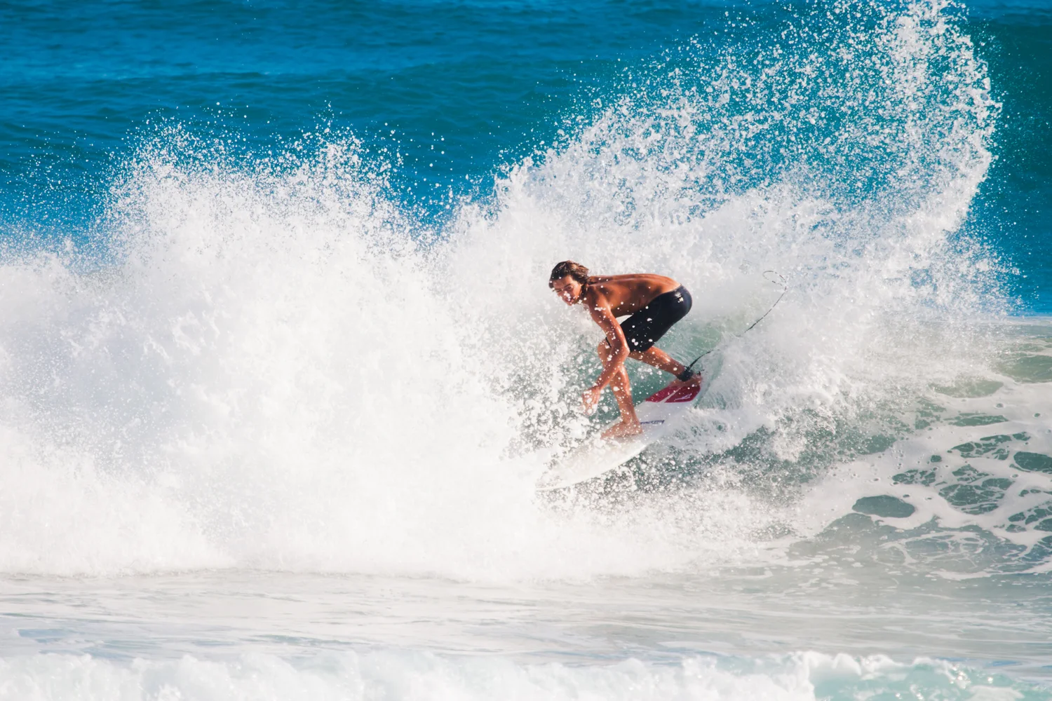 South Florida Blues. — Nathaniel Harrington