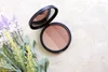 Current Fave Contour Powder: The Too Cool For School By Rodin Shader ...