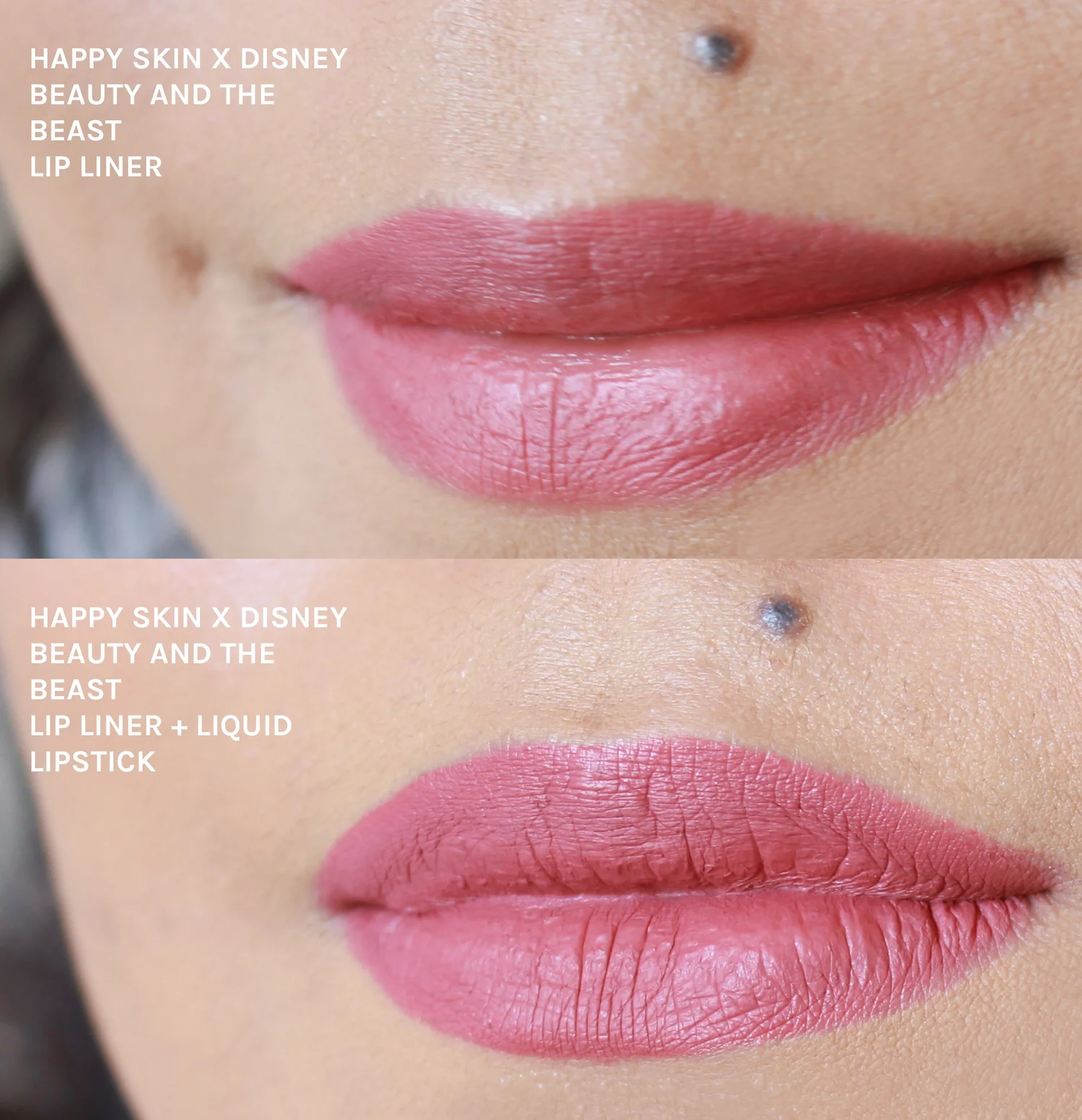 Swatched: The Happy Skin x Disney Beauty and the Beast Lip Kit in Rose ...