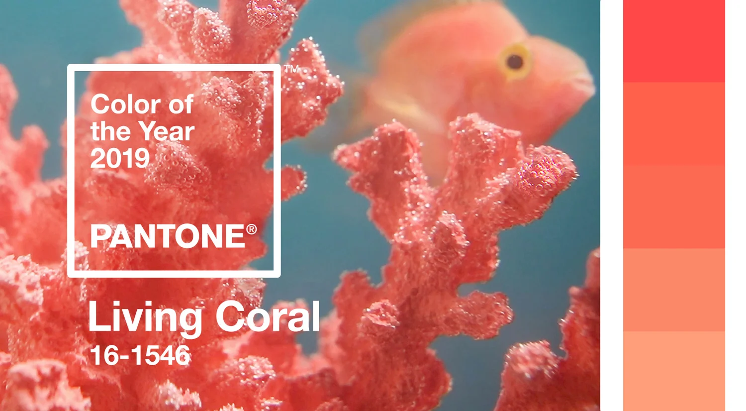 One lipstick, three ways: Here’s how to create beautiful Living Coral ...