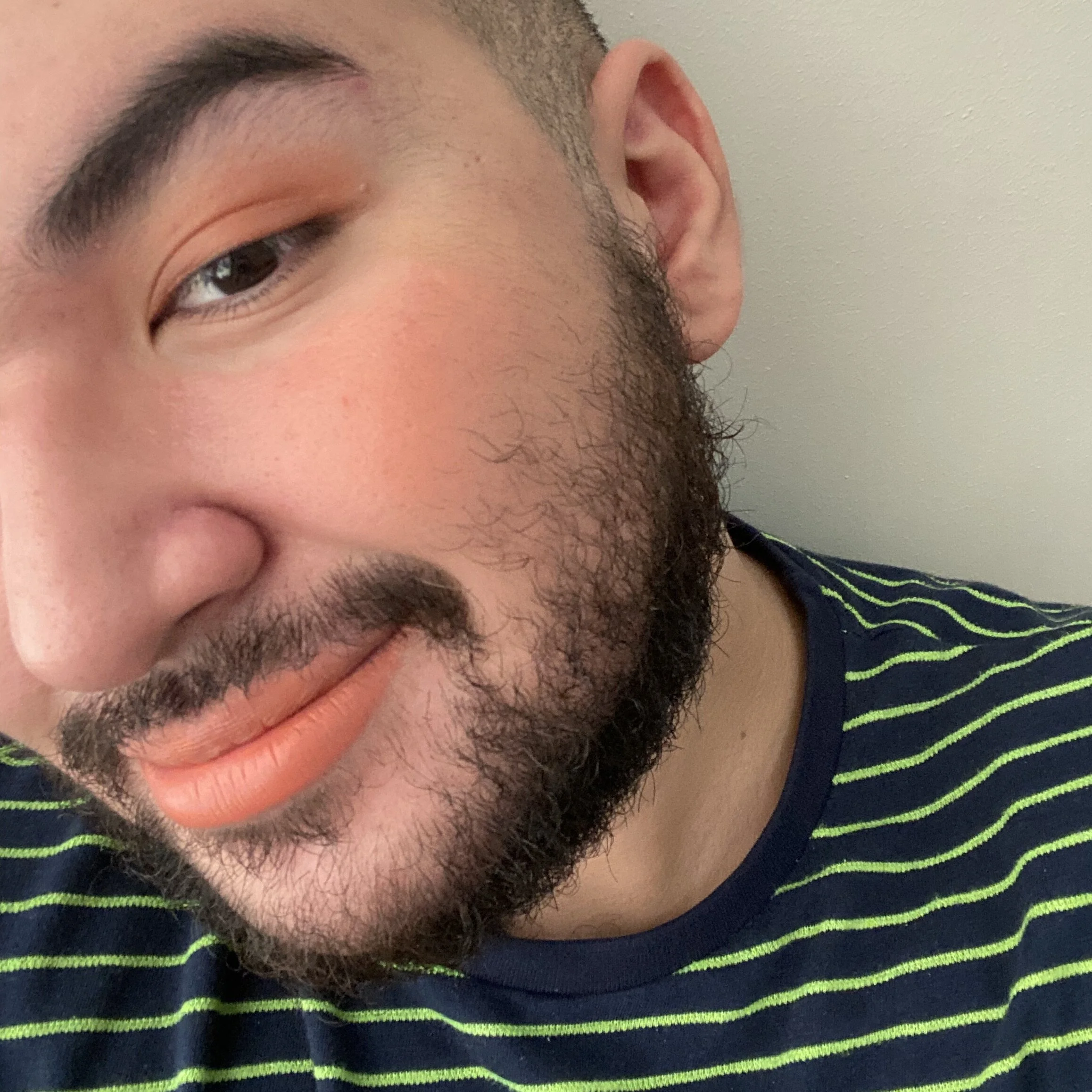 Swatches + Review: The Detail Cosmetics Velvet Flush Collection ...