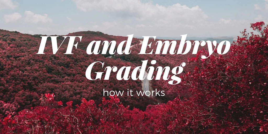 IVF and Embryo Grading: How It Works — Atlantic Health Solutions