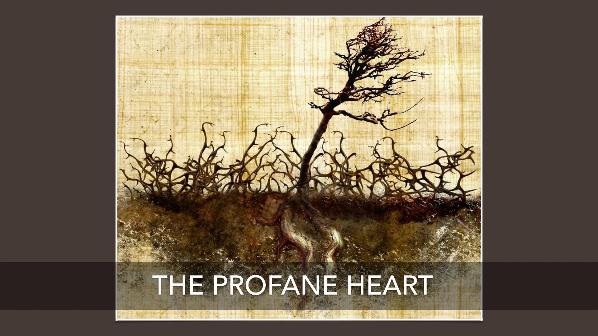 Luke 8:1-15 The Parable of the Sower and the Soils — HAMPTON ROADS CHURCH