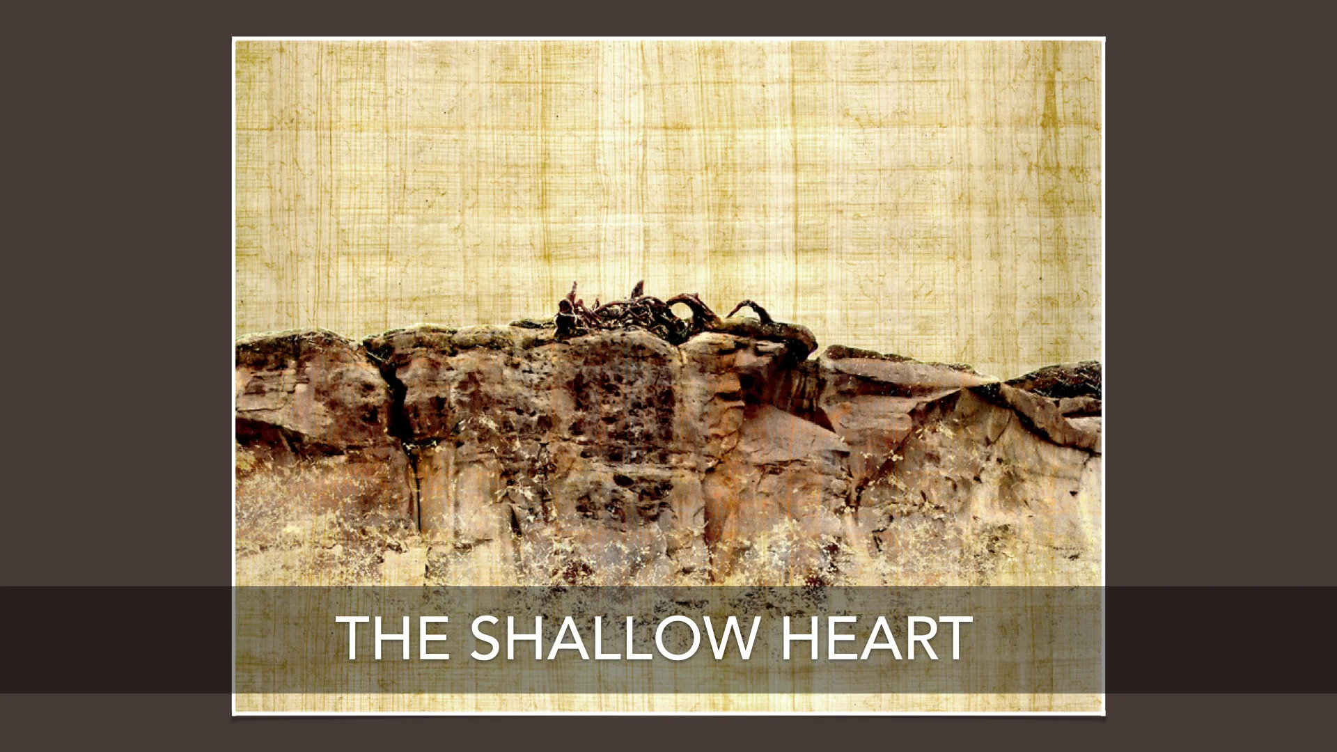 Parable Of The Sower Heart