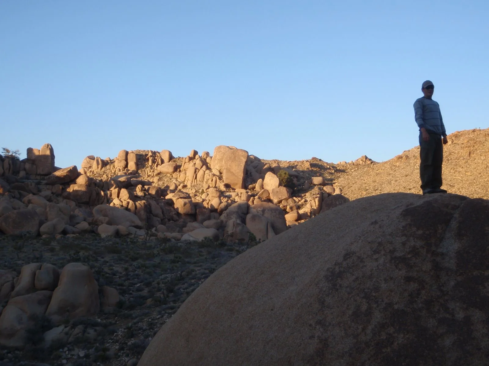 Joshua Tree Adventures - Incredible custom tours in the Mojave desert!