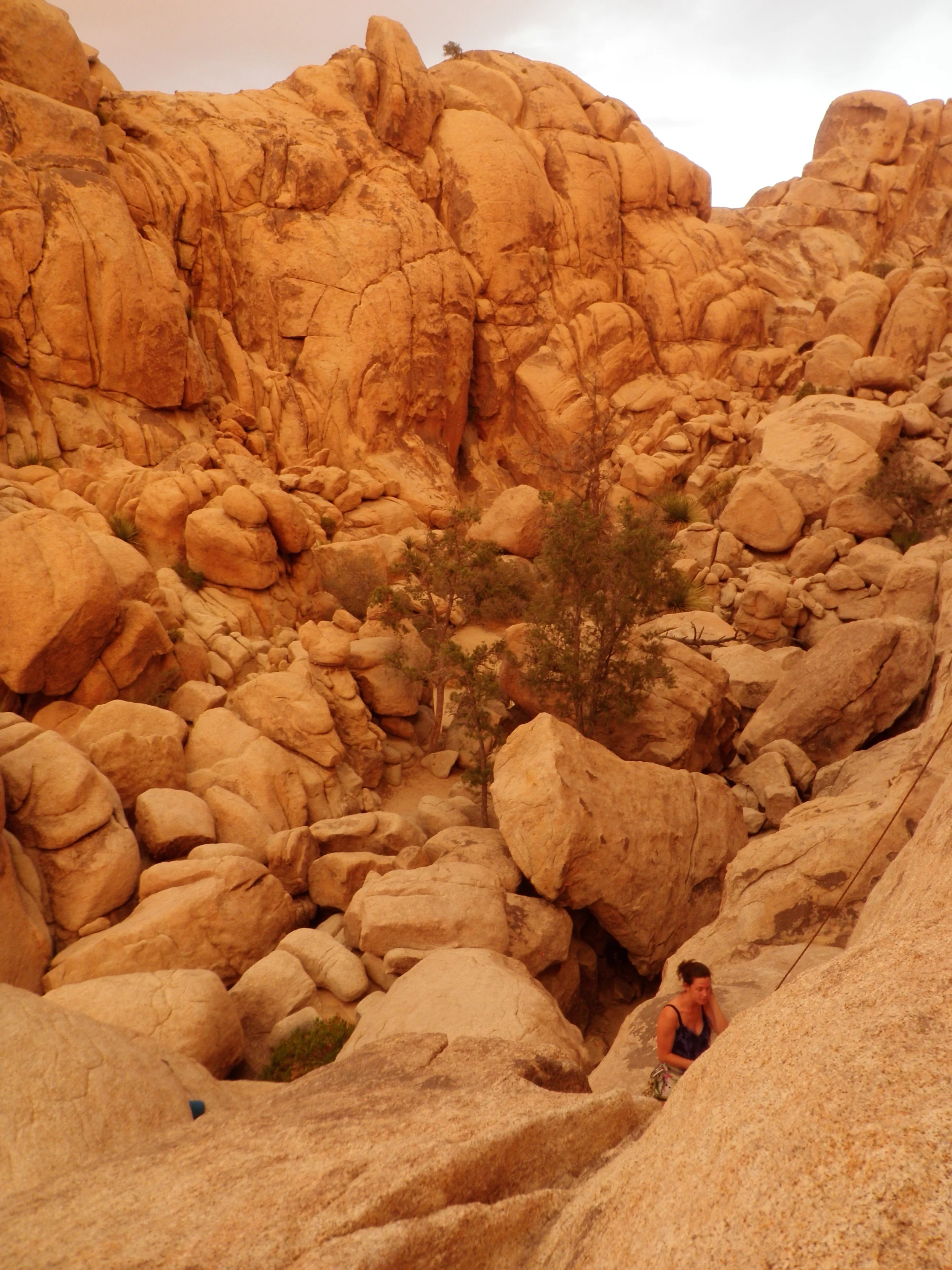 Joshua Tree Adventures - Incredible custom tours in the Mojave desert!
