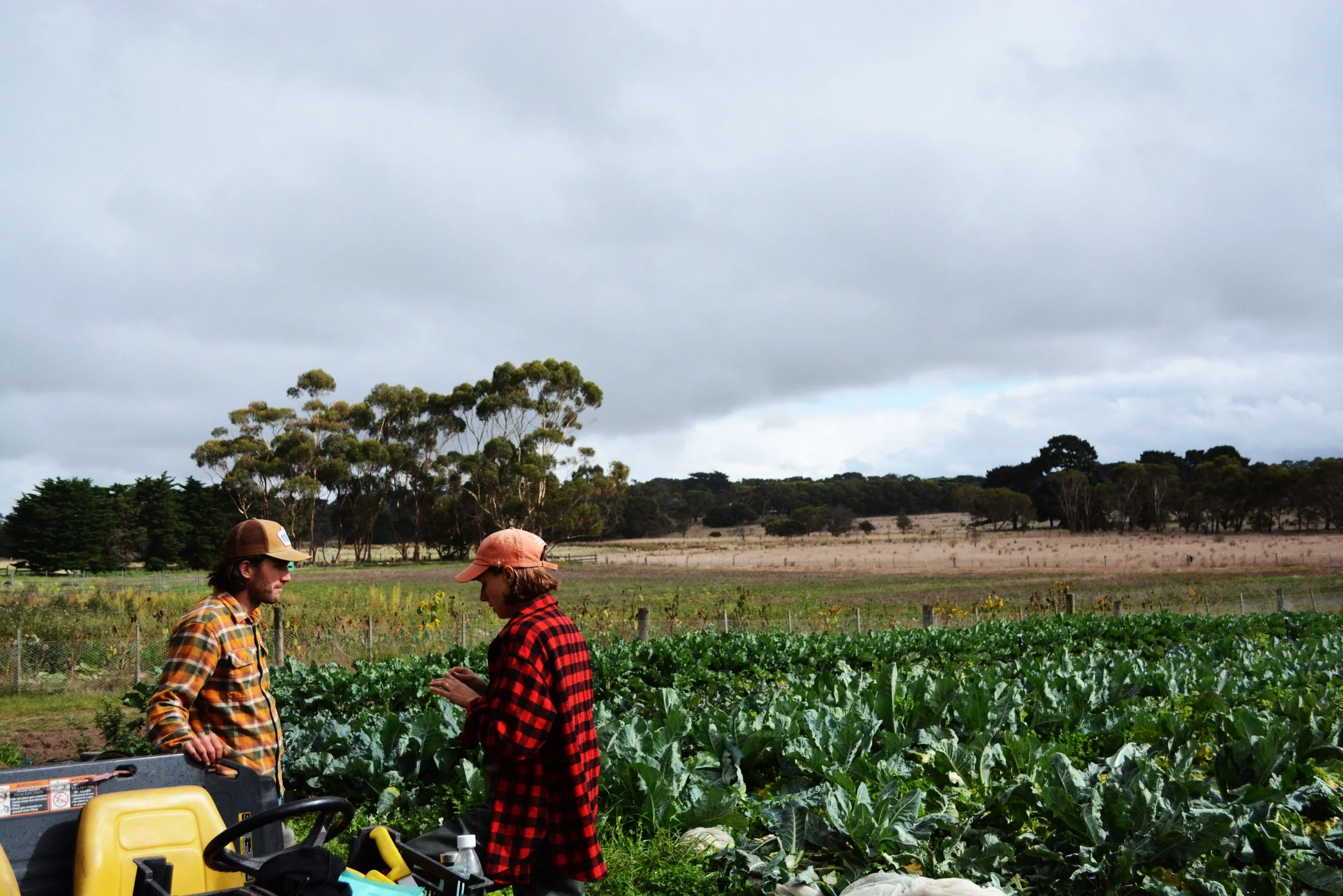 Our Story — KINSFOLK FARM