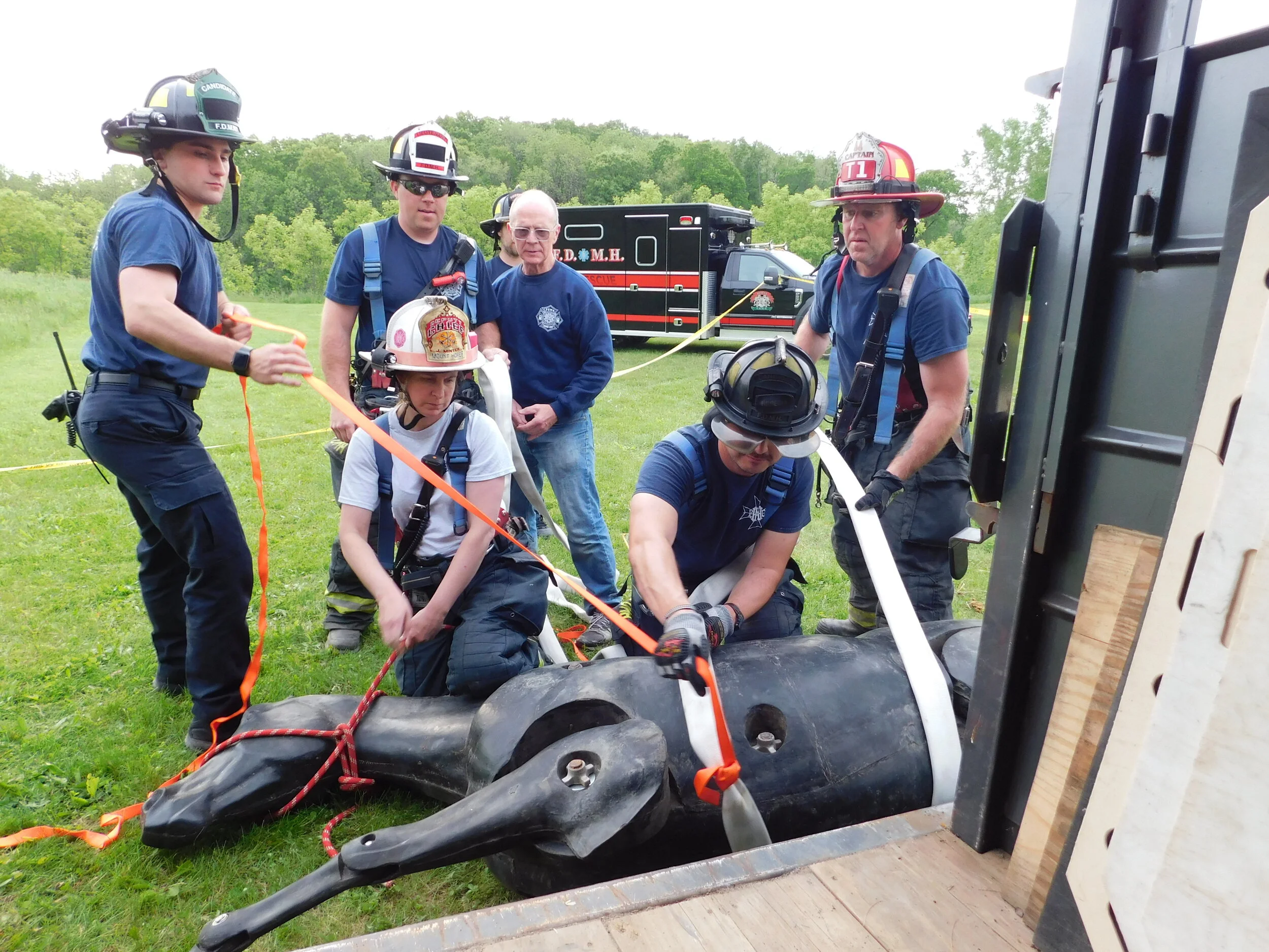 FDMH Gallery — F.D.M.H.