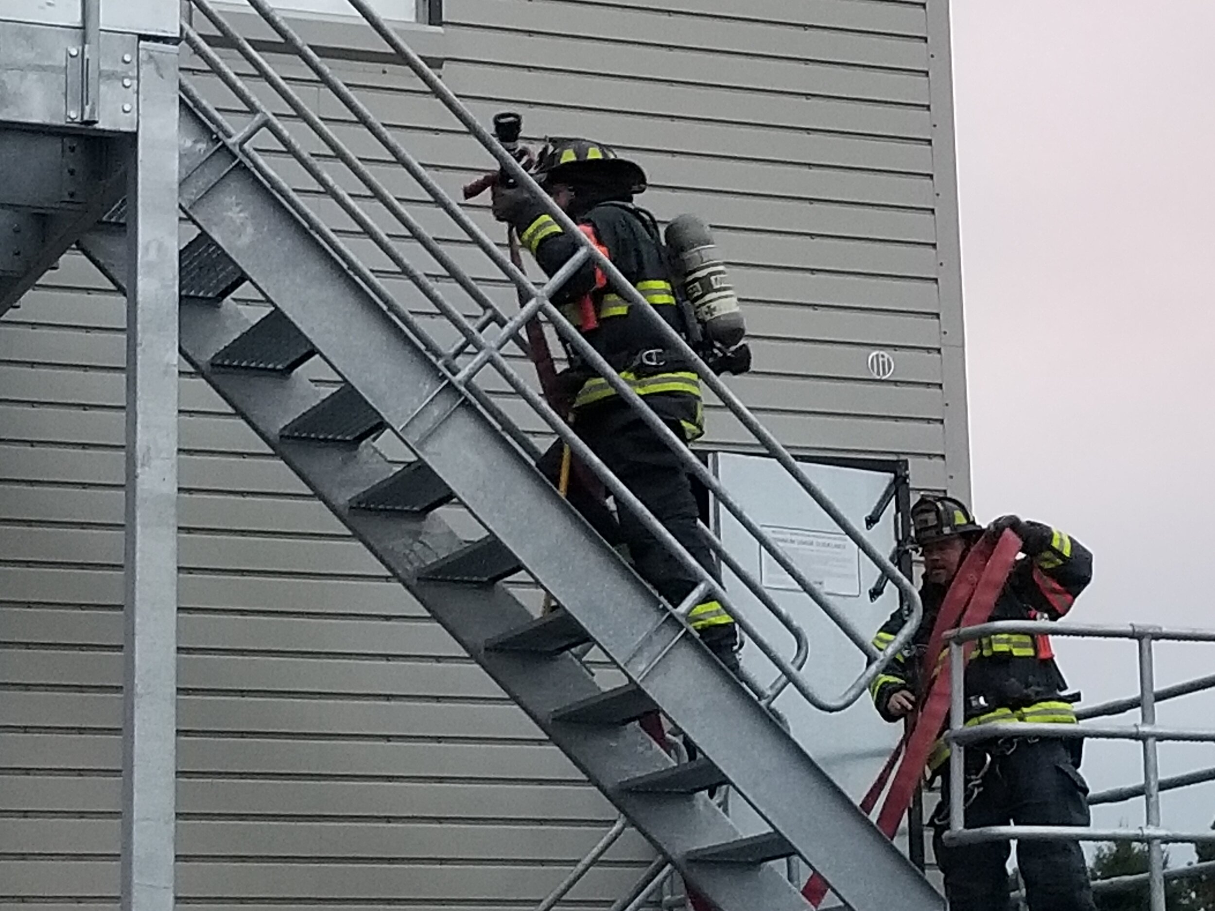 FDMH Gallery — F.D.M.H.