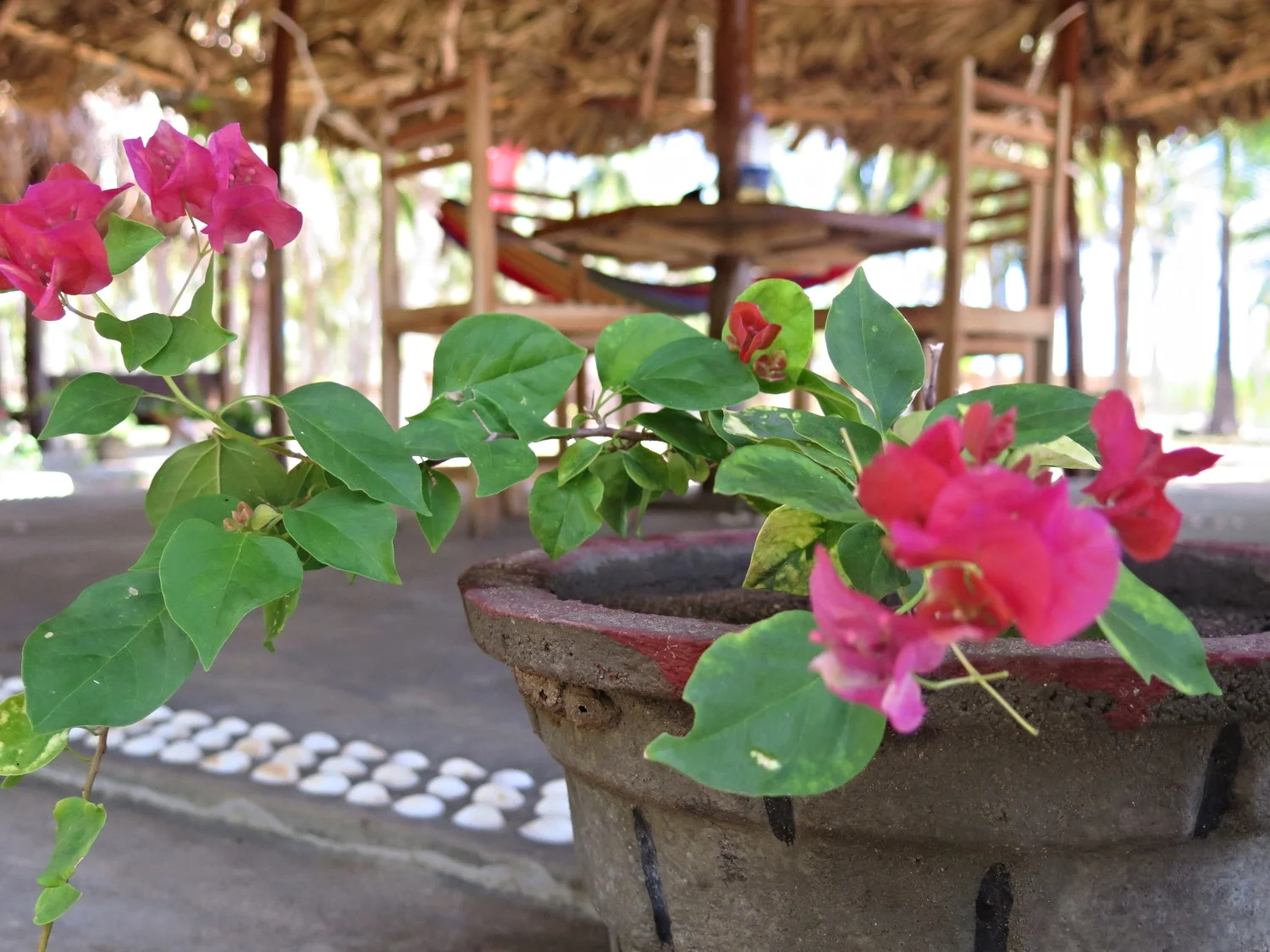 Ruuk Village | Kitesurfing in Sri Lanka