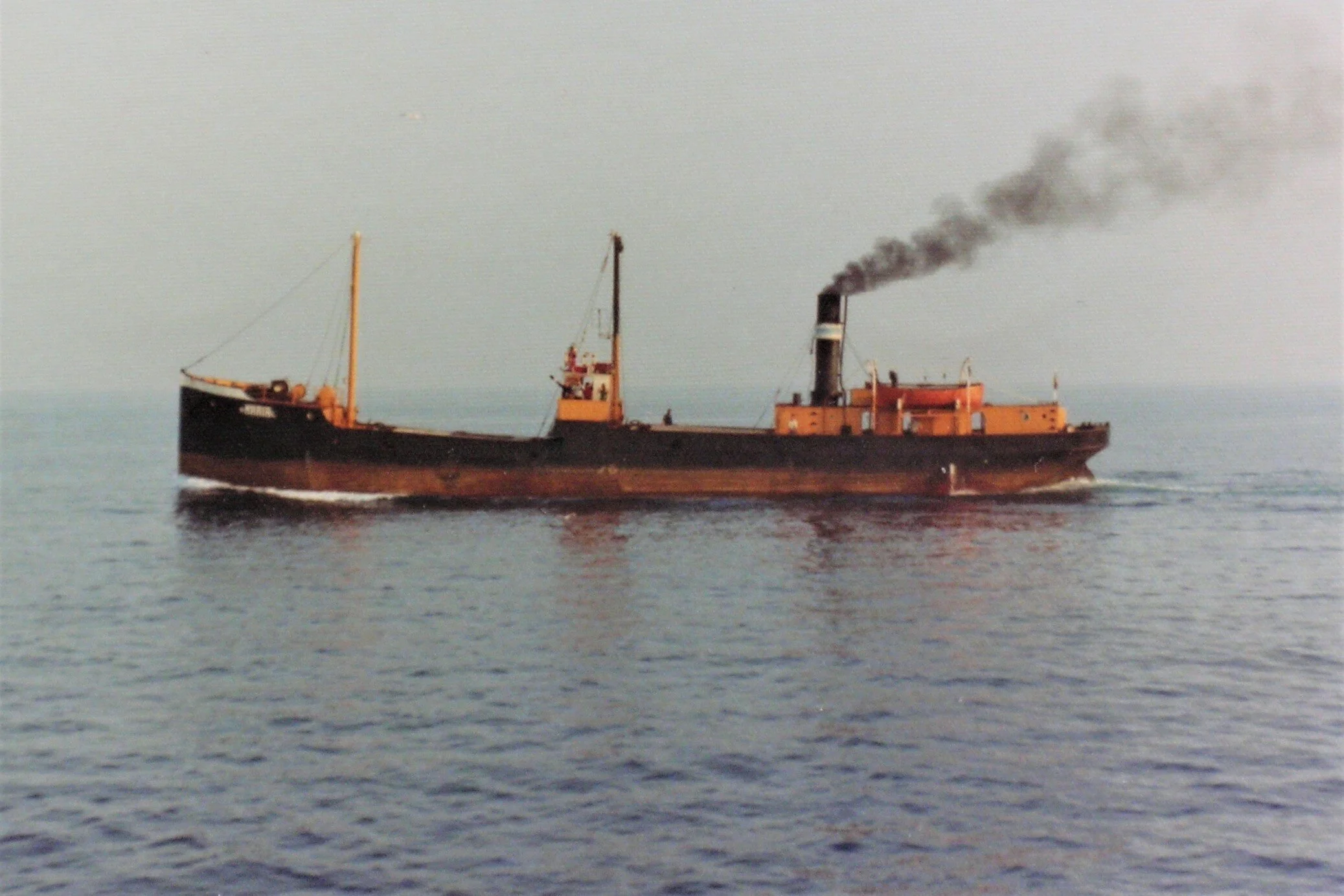 News — SS ROBIN AT THE ROYALS