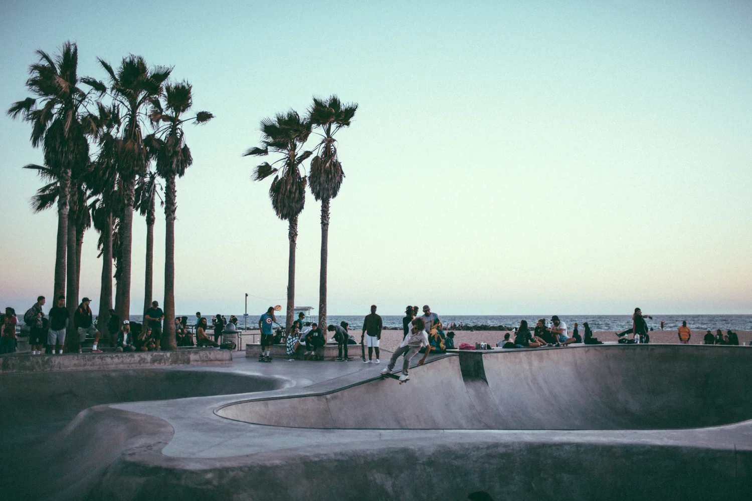 Summed up — Carly Brown
