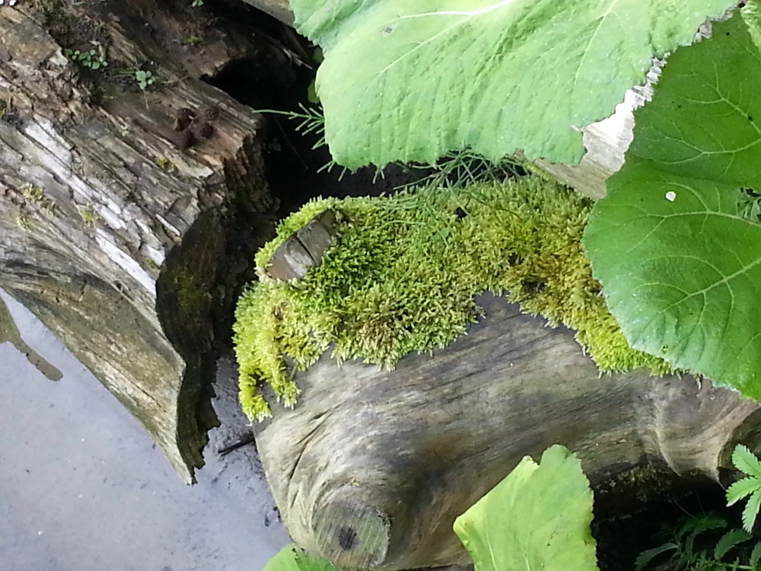 UK ISH workshops — Laboratory for Microclimates