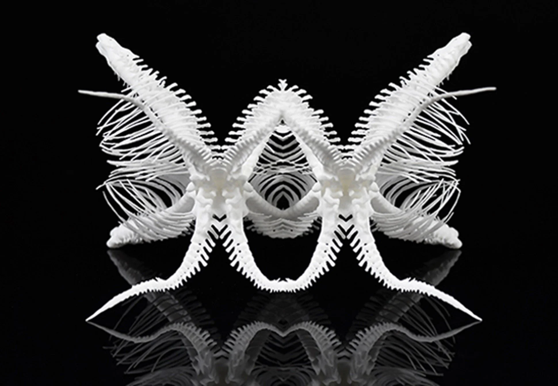 Open Access Initiatives & Its Impact on the Art World — Arts Management ...