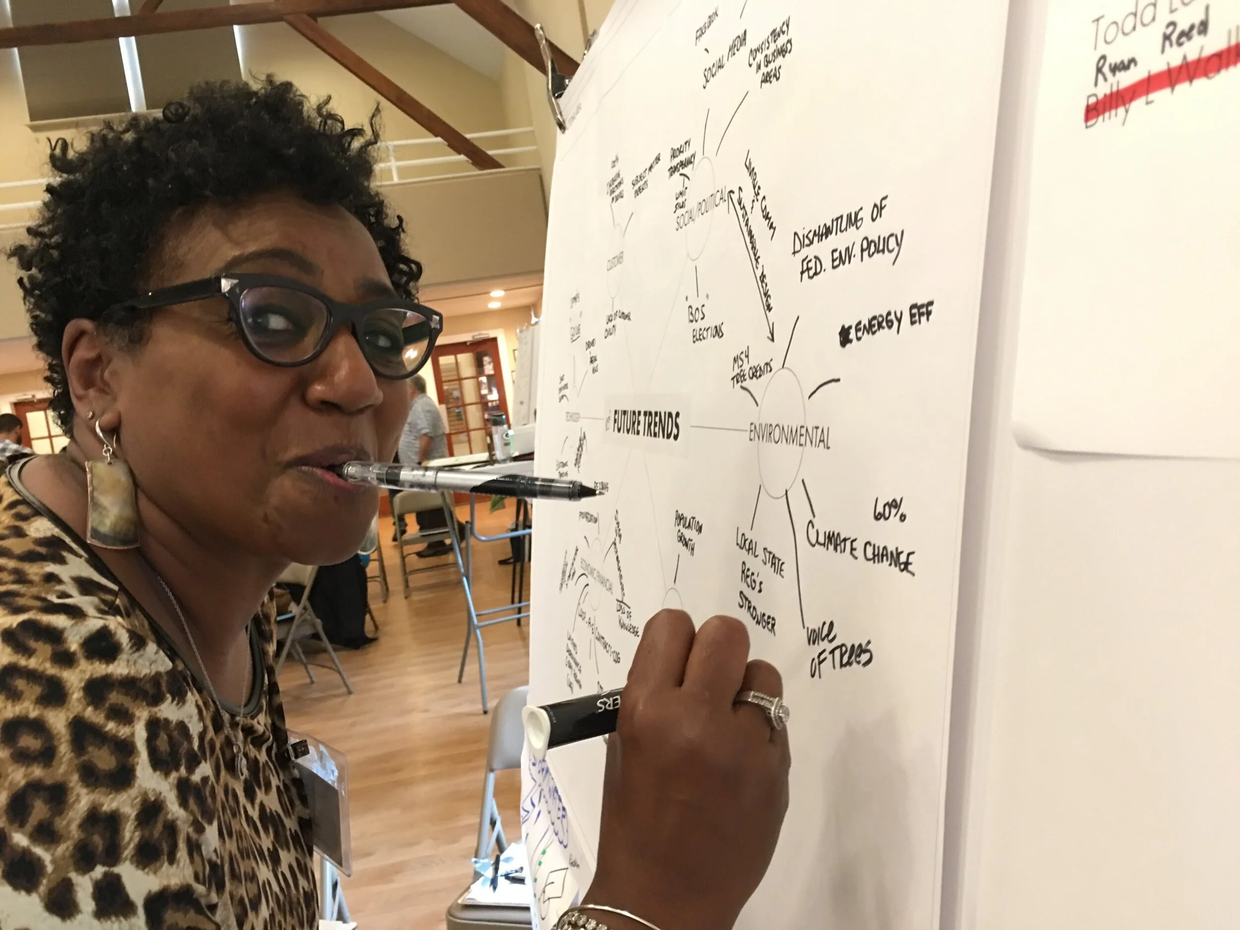 Visual Facilitation — Lizard Brain