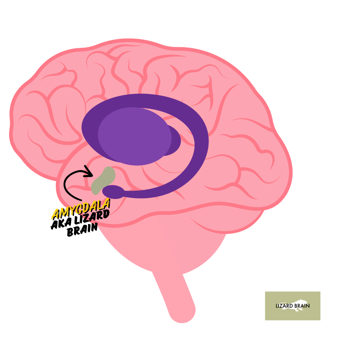 THINK WITH INK®: Graphic Facilitation Methods — Lizard Brain