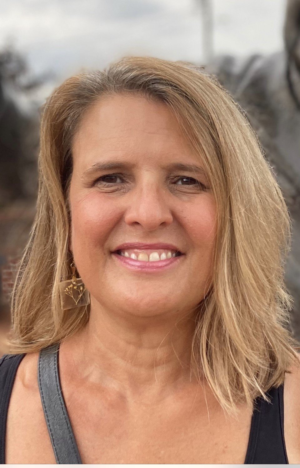 Board of Directors — North Valley Symphony Orchestra