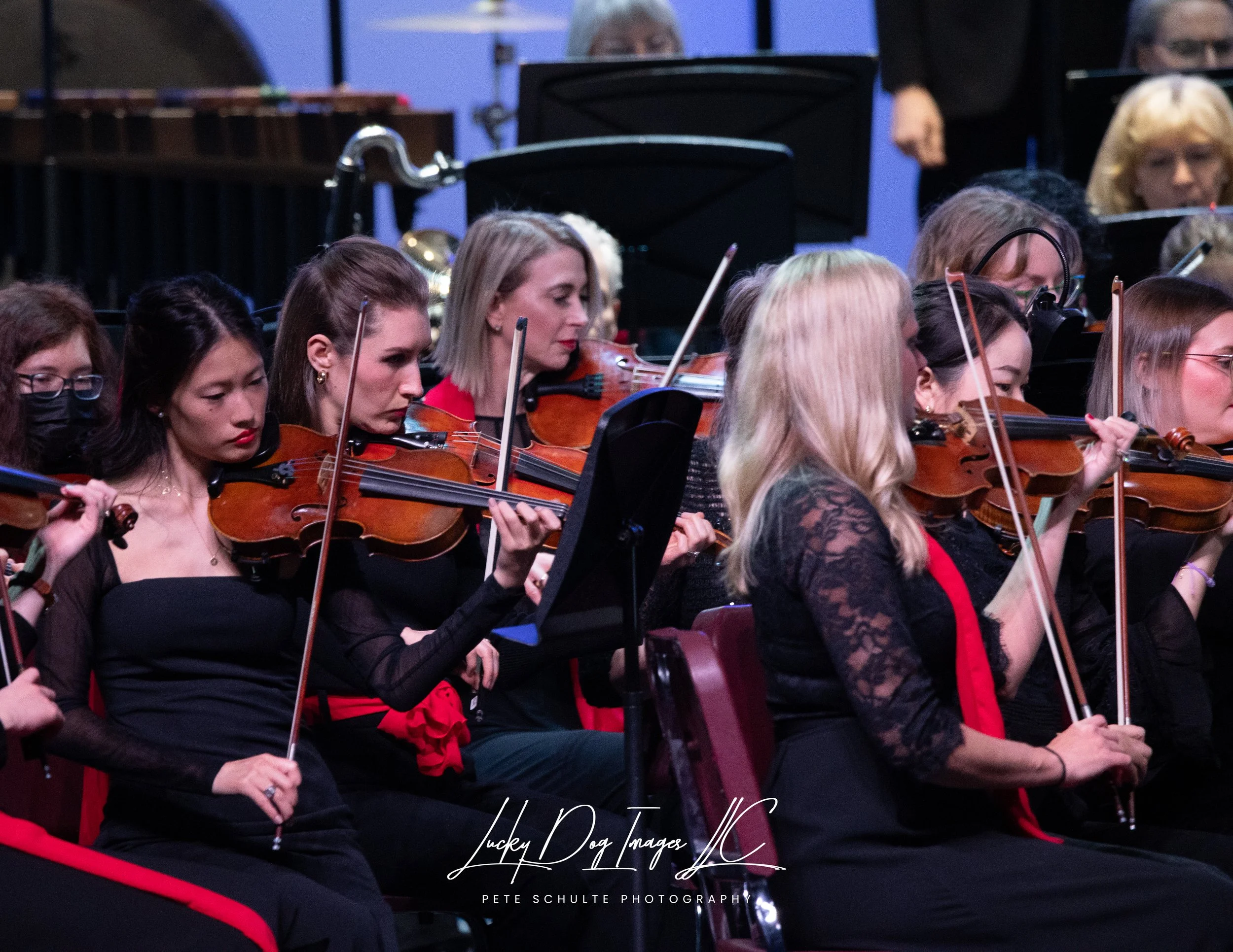 Adult Orchestra Members — North Valley Symphony Orchestra