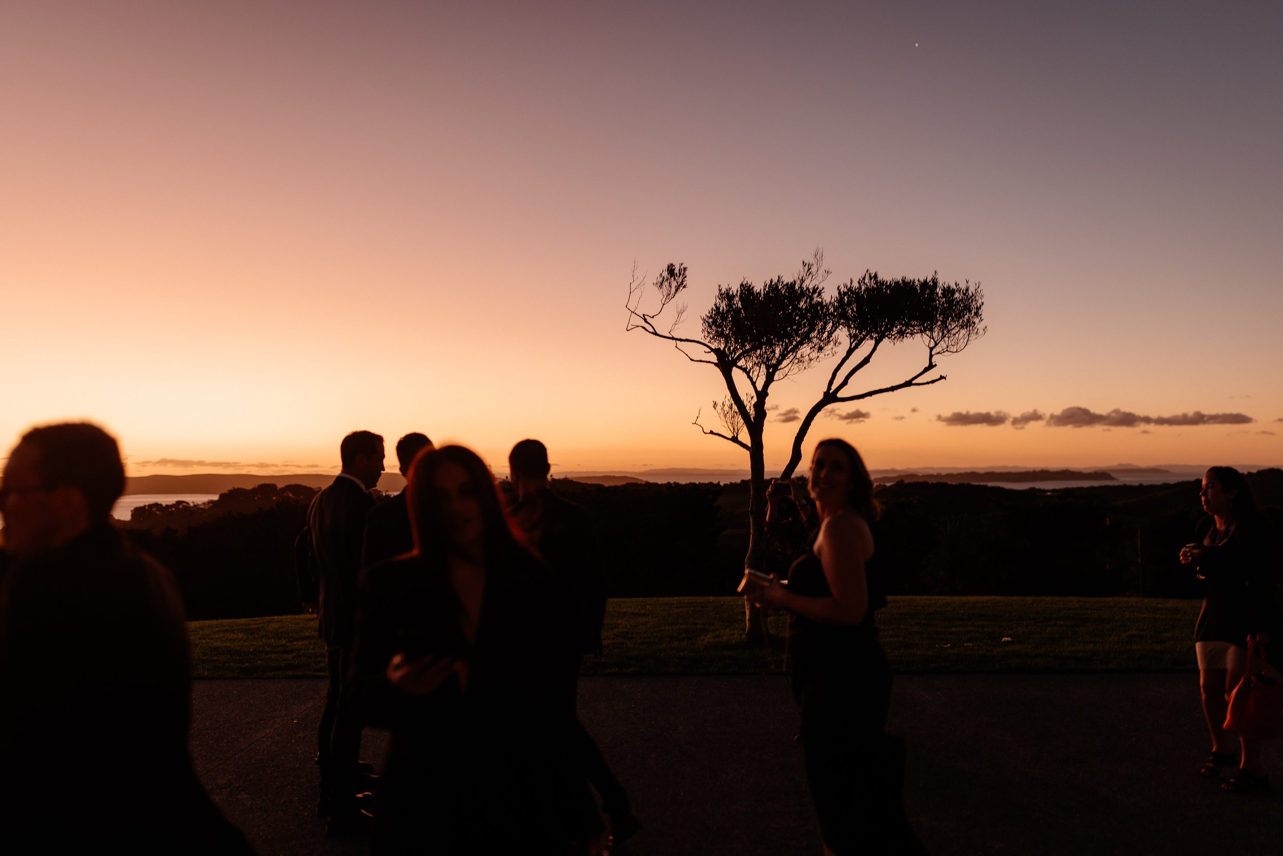 Hollow & Co. - Wedding Photographer & Videographer