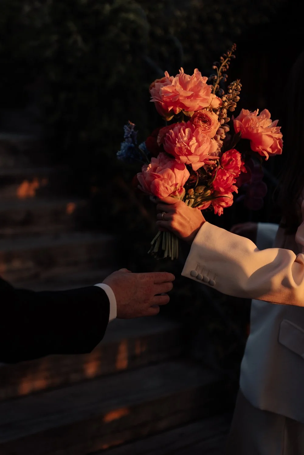 Hollow & Co. - Wedding Photographer & Videographer