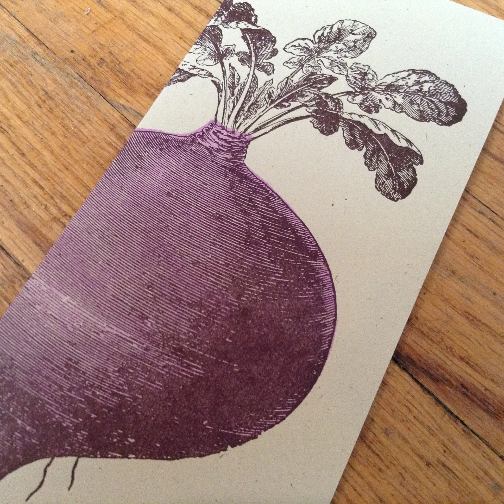 BEET 8 Note Cards #10 size — Pioneer House