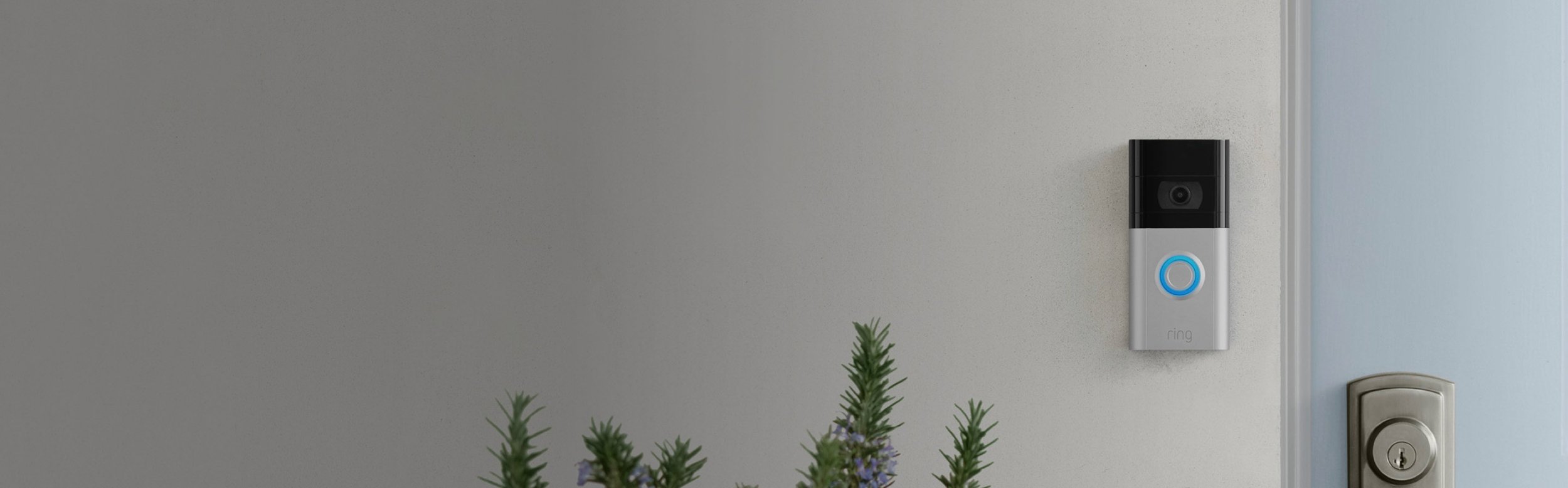 Two Successful Years of the Ring Donation Program — Safety Net Project