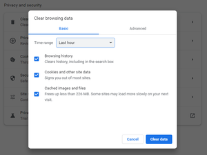 Internet Browser Privacy Tips — Safety Net Project
