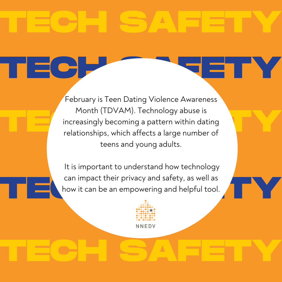 Teen Dating Violence Awarenss Month (TDVAM) — Safety Net Project