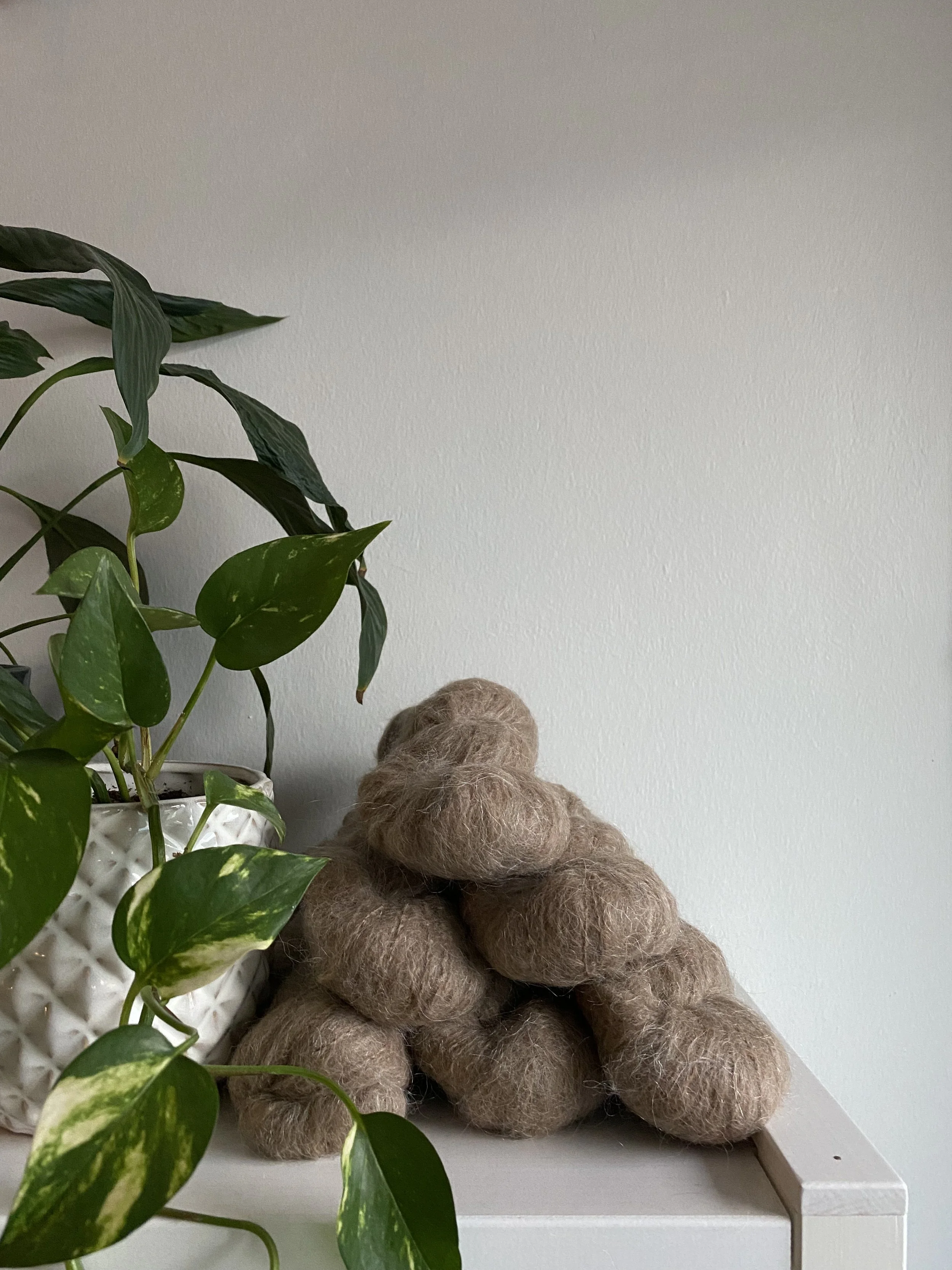 EJNER and Woolfolk's Tage Collection — fiona alice