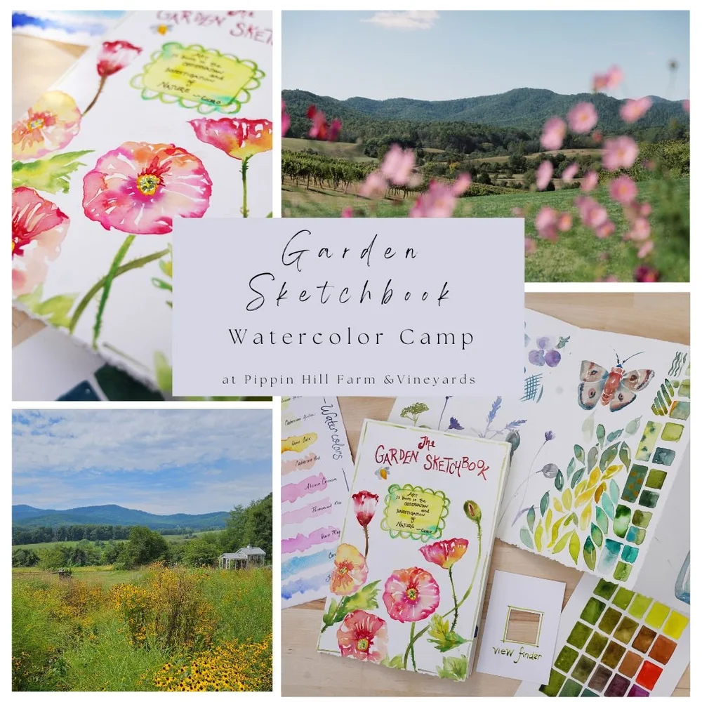Amy Woods Watercolors
