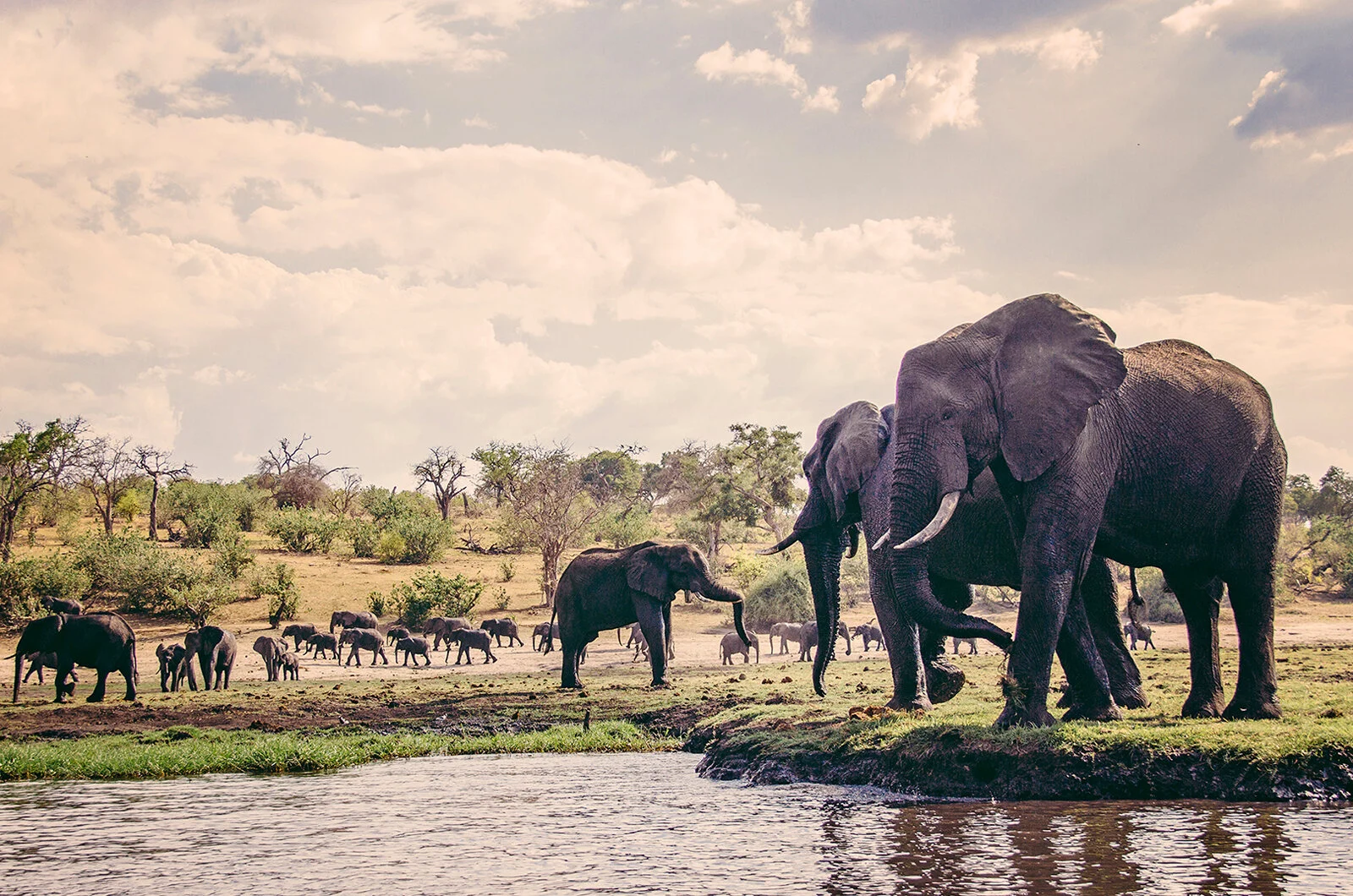 annamul - the creativity of Anna Wiewiora