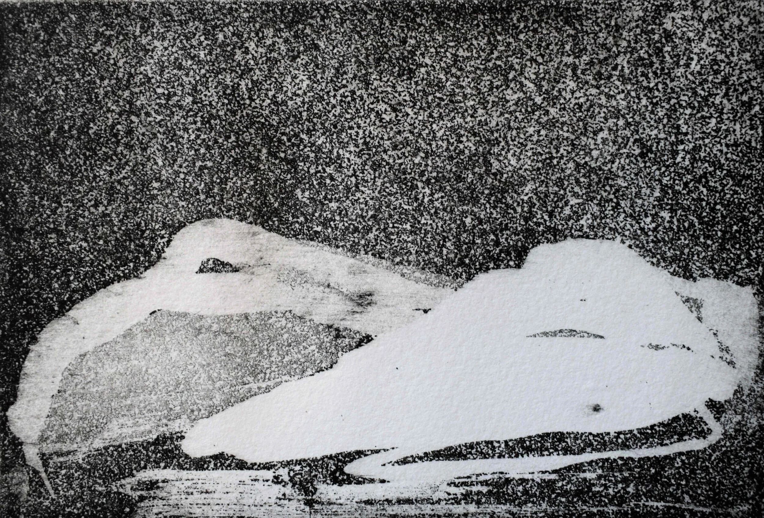 Artist Profile Series - Laura Drever — Pier Arts Centre