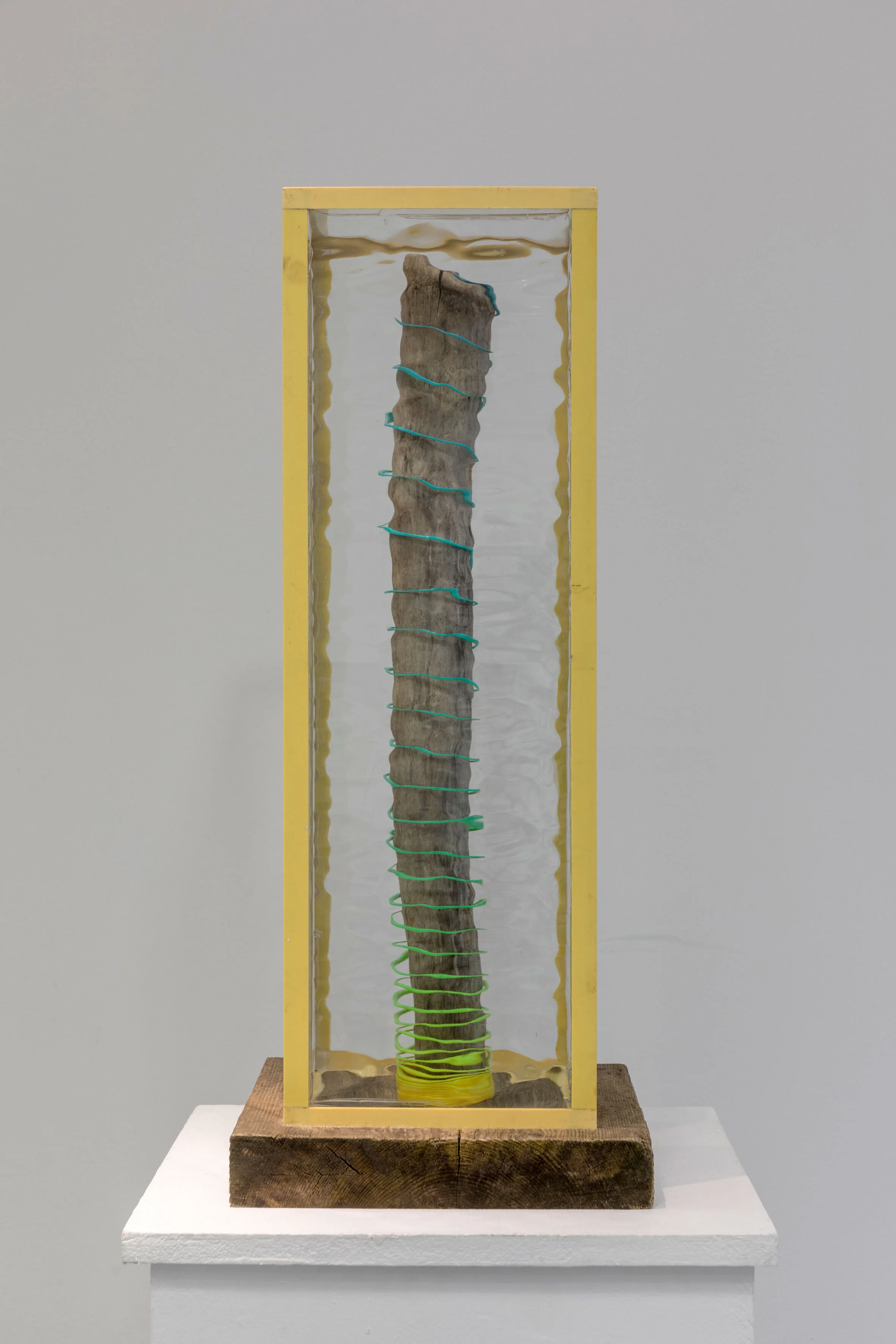 Artist Profile Series - Nick Gordon — Pier Arts Centre