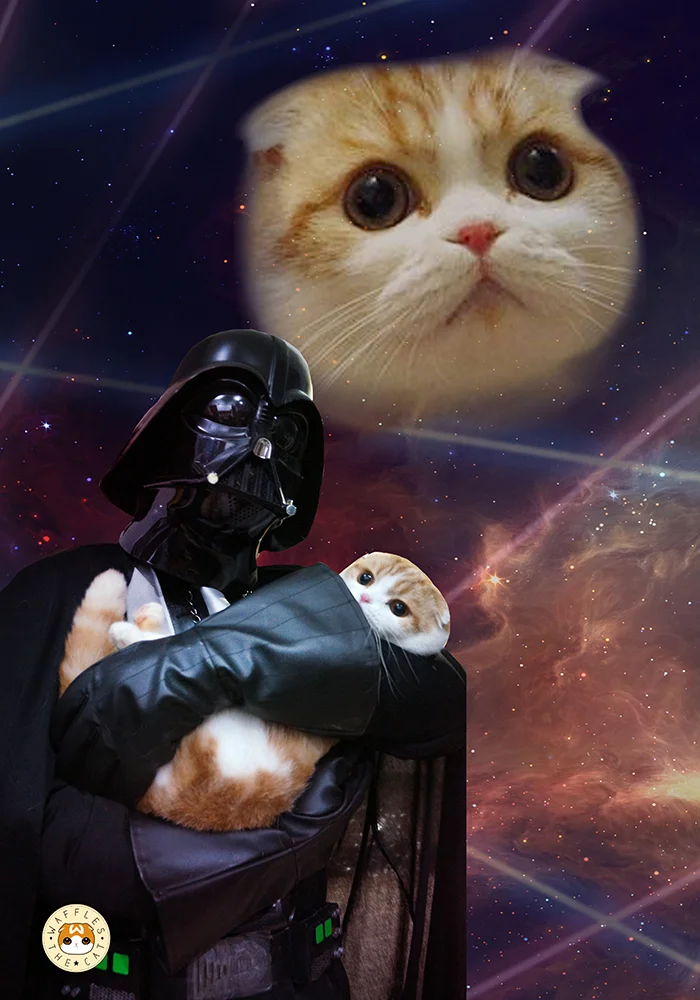 Darth Vader Finds A Cat On The Starship — Waffles the Cat