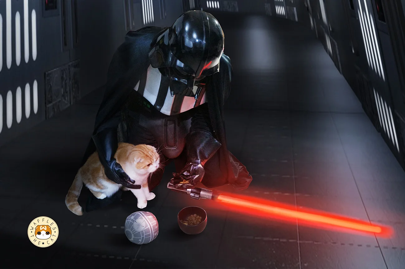 Darth Vader Cat