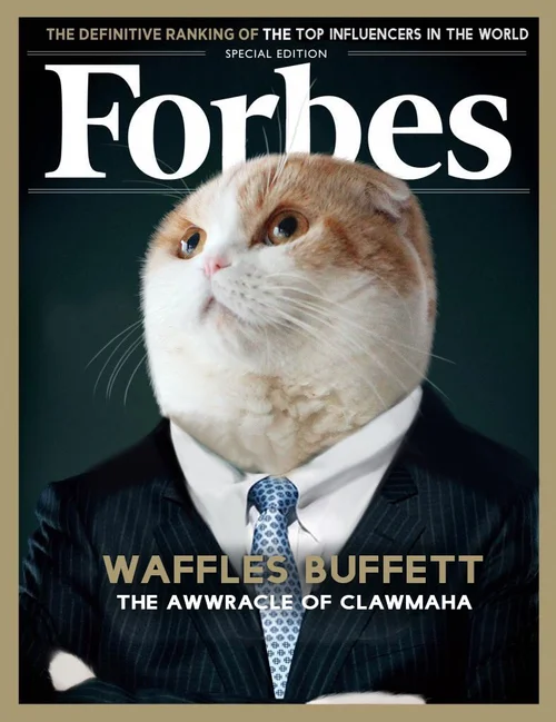 Waffles The Cat